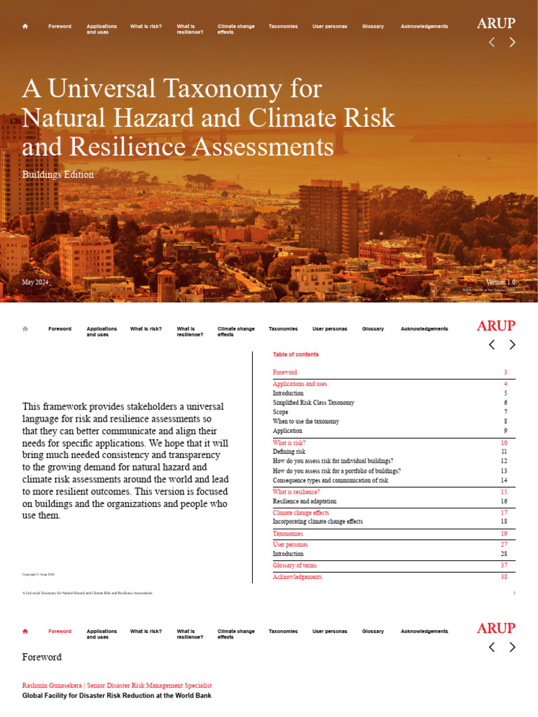 A Universal Taxonomy For Natural Hazard and Climate Risk and Resilience ...