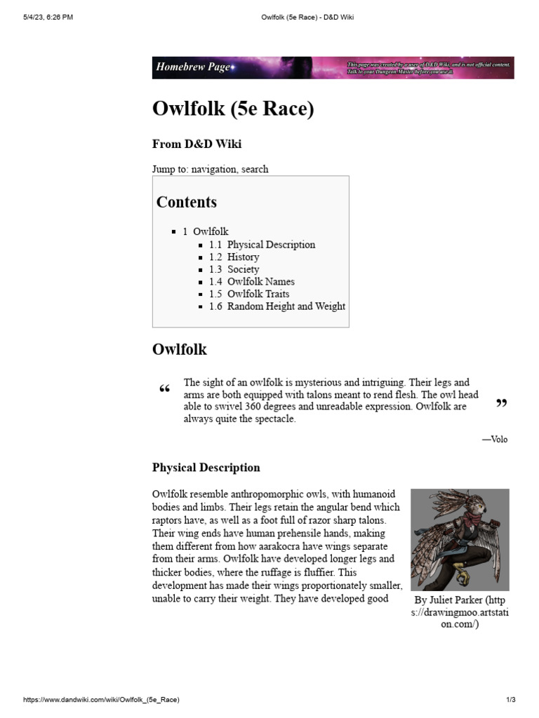 Owlfolk (5e Race) - D&D Wiki | PDF | Owl | Birds