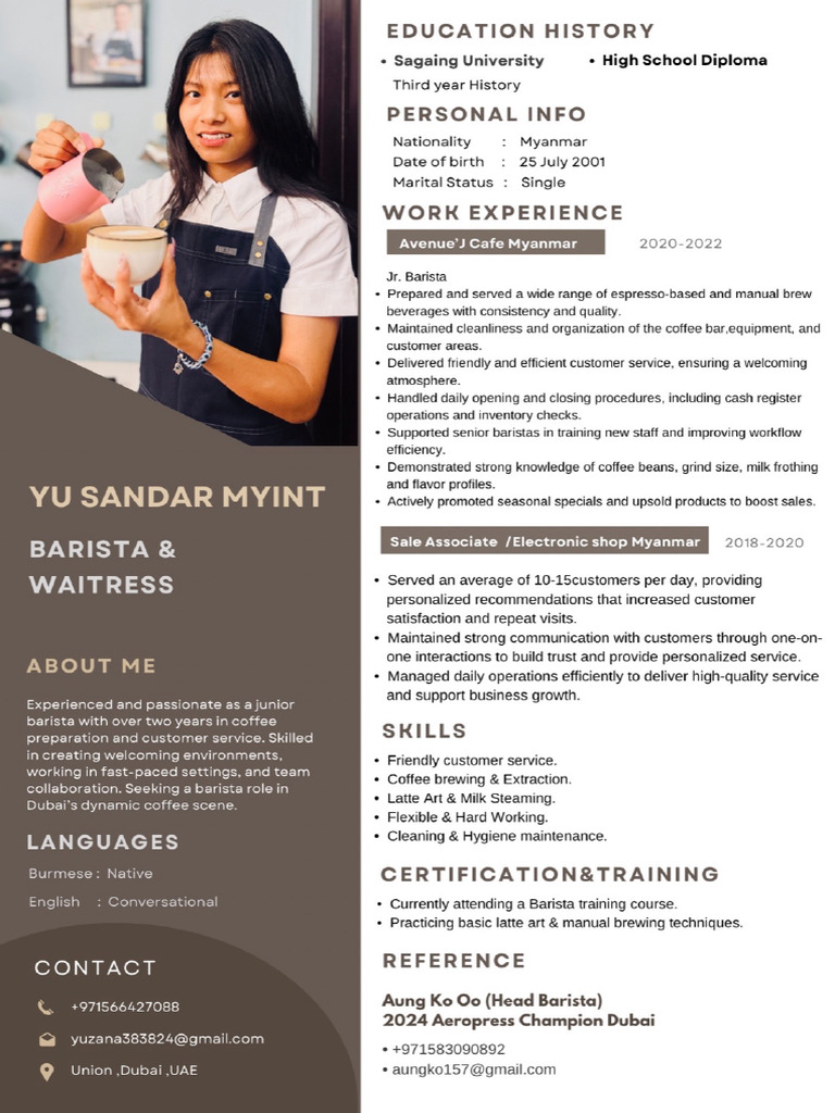 Yu Sandar Myint CV Design | PDF