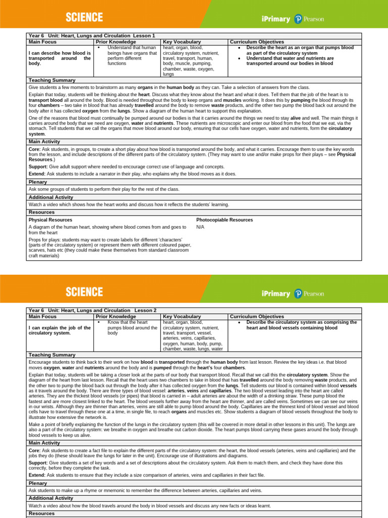 Ip LP Ip Science Y6 HLC | PDF | Circulatory System | Blood Vessel