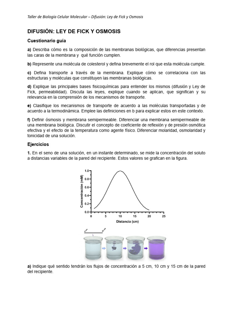 DG1 - Difusión y Osmosis | PDF | Ósmosis | Difusión