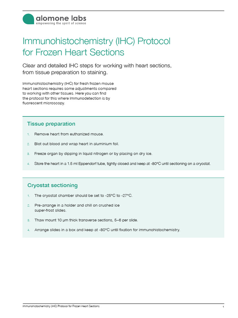 IHC Protocol for Frozen Heart Sections | PDF | Immunohistochemistry ...