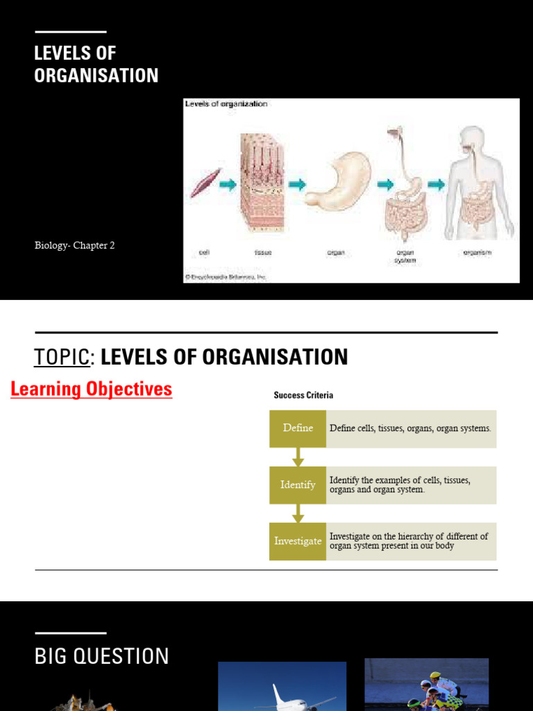 D-1 Levels of Organisation | PDF