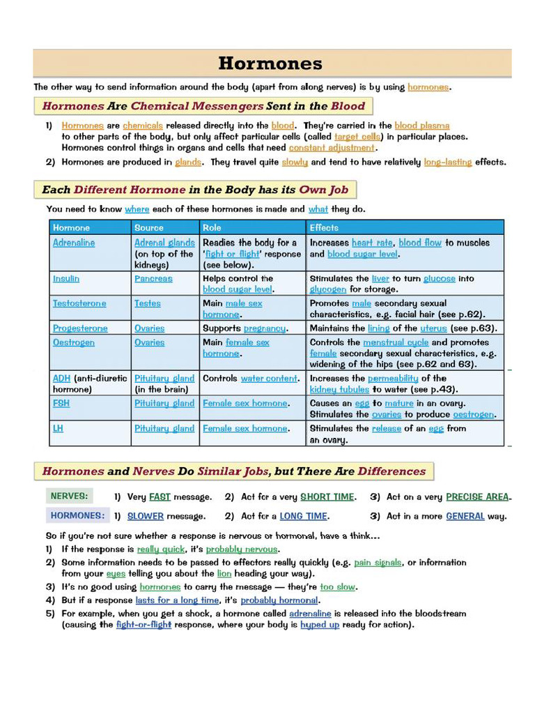 Hormones | PDF