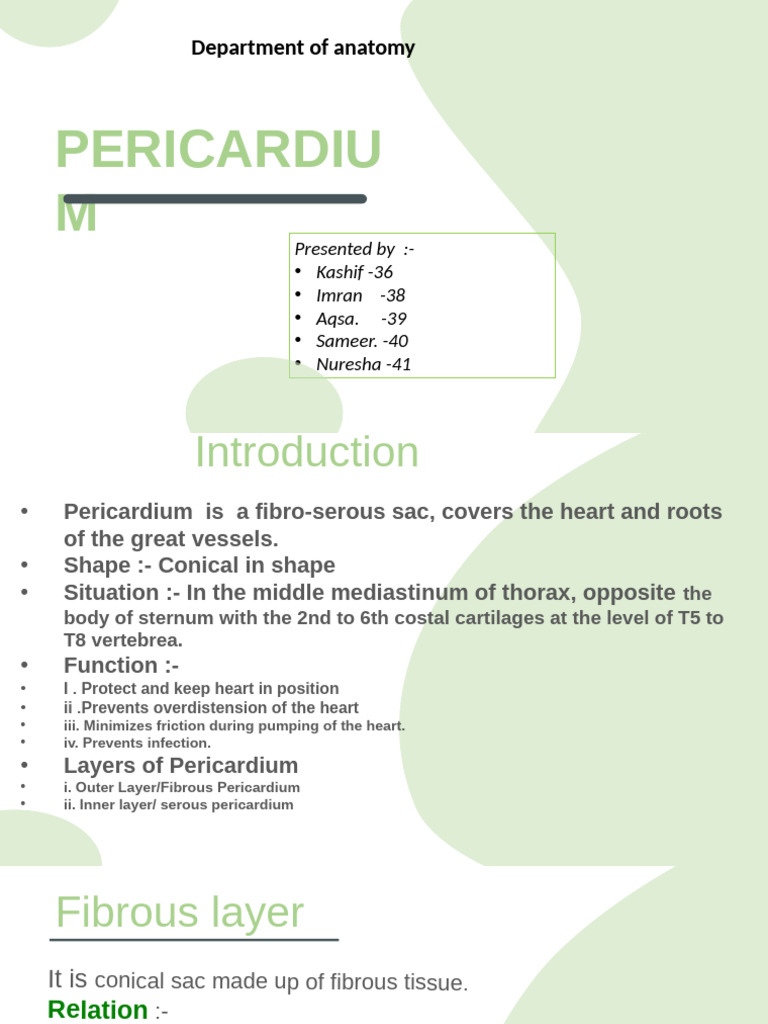 PERICARDIUM Anatomy PPT With - WPS Office | PDF | Heart | Thorax (Human ...