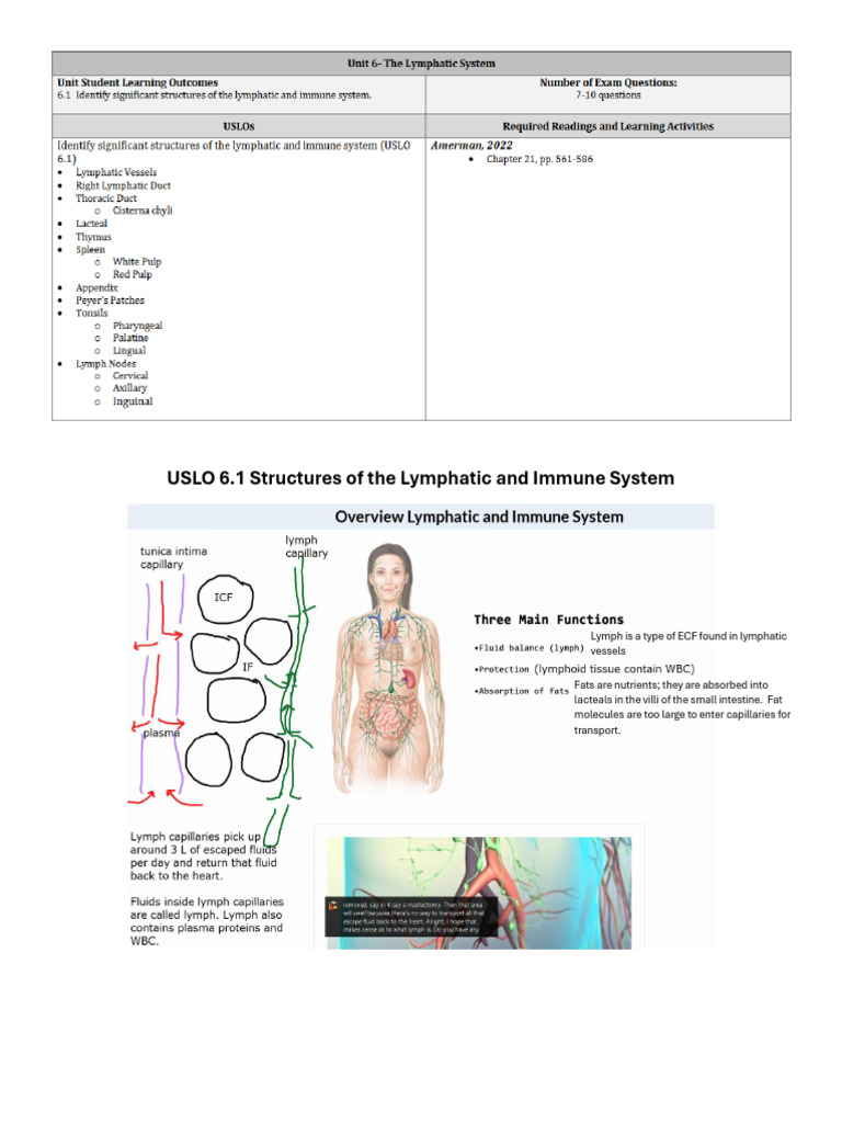 Unit 6 Lymphatic System | PDF