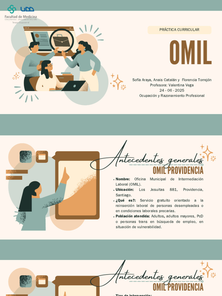 Práctica Curricular OMIL Caso Erika PDF | PDF | Terapia ocupacional | Autoeficacia