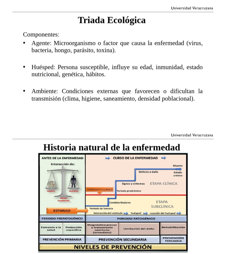 Triada Ecológica en Enfermedades | PDF