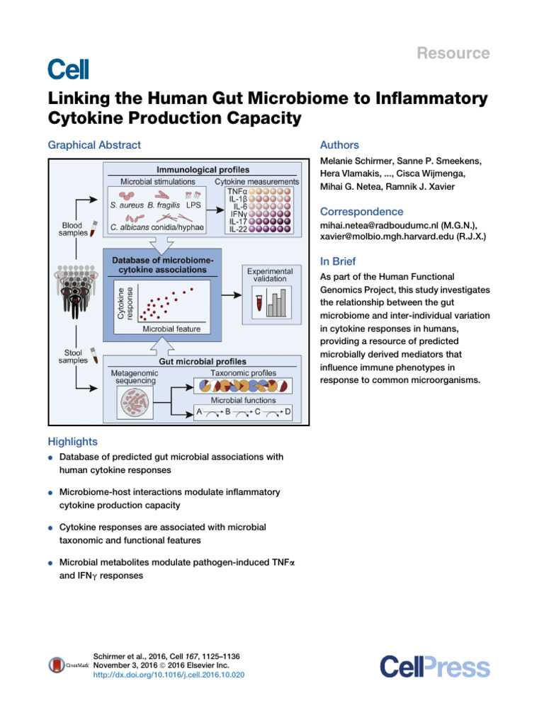 Gut Microbiome and Cytokine Responses | PDF | Microbiota | Immune System