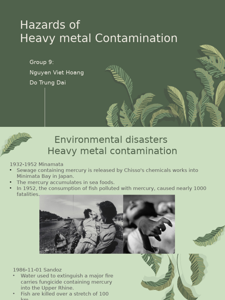 Topic 9 - Hazards of Heavy Metal Contamination | PDF | Toxic Heavy ...