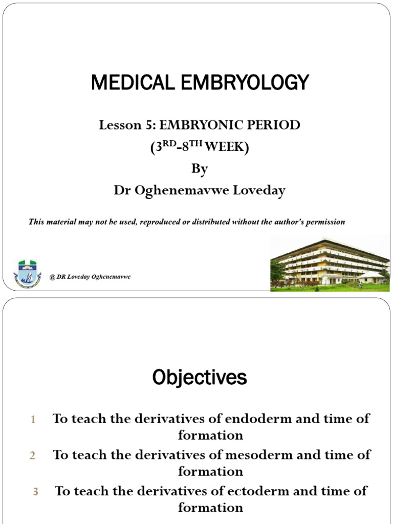 Emryology Lecture Note 5 | PDF | Anatomy | Animal Anatomy