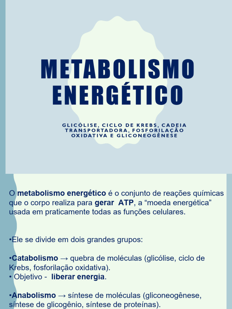 Aula 05 - 18.09.2025 - Metabolismo Energético | PDF | Glicolise | Dieta ...