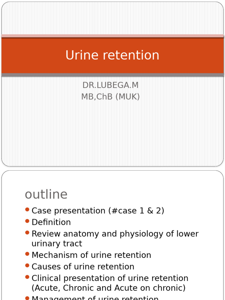 Urine Retention, Bladder Diseases, Why Is Urination Blocked | PDF ...
