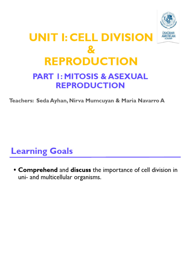 Mitosis and Asexual Reproduction Explained | PDF | Mitosis | Chromosome