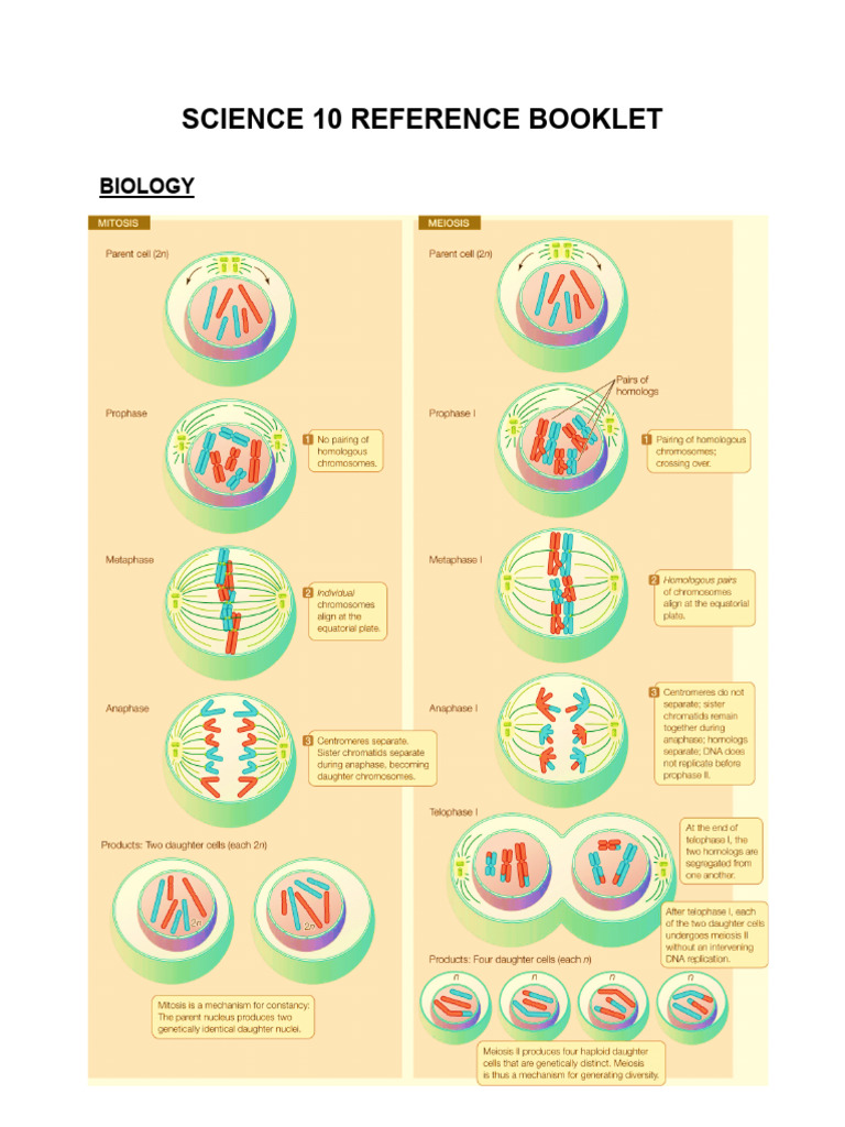 Reference Booklet | PDF