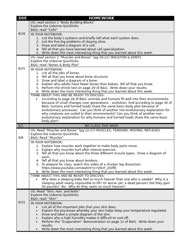 Anatomy Assignment Pages | PDF | Circulatory System | Heart