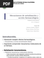 GPC CELULITIS - P | PDF | Staphylococcus Aureus | Especialidades Medicas