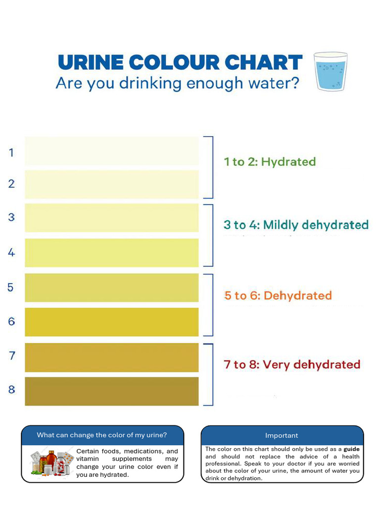 Urine Chart | PDF