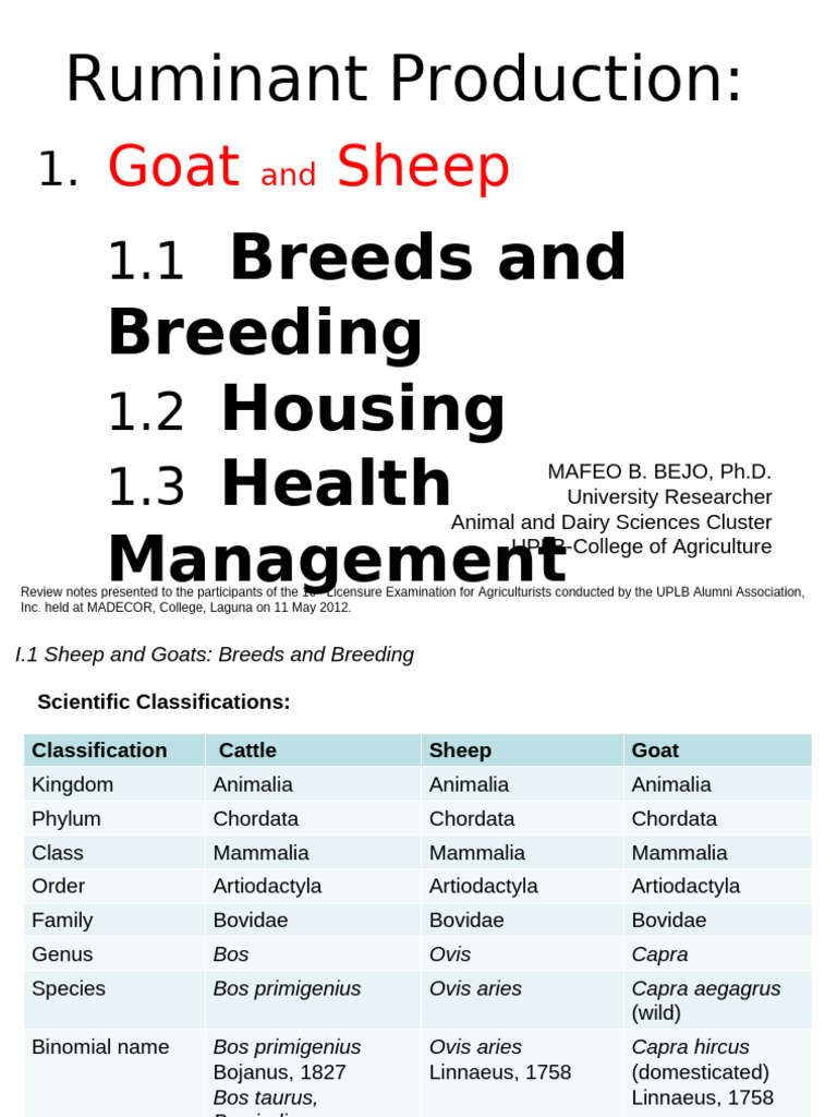 Ruminants Production Goatsheep Pdf Sheep Goat