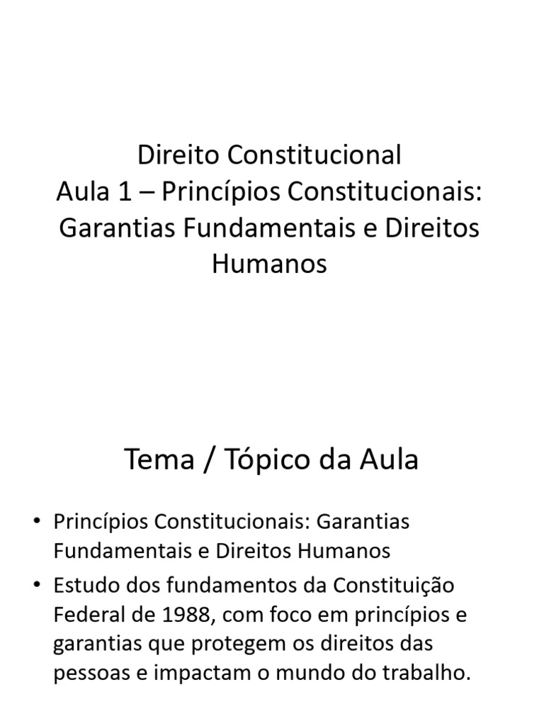 Princípios Constitucionais e Direitos Humanos | PDF | Constituição ...