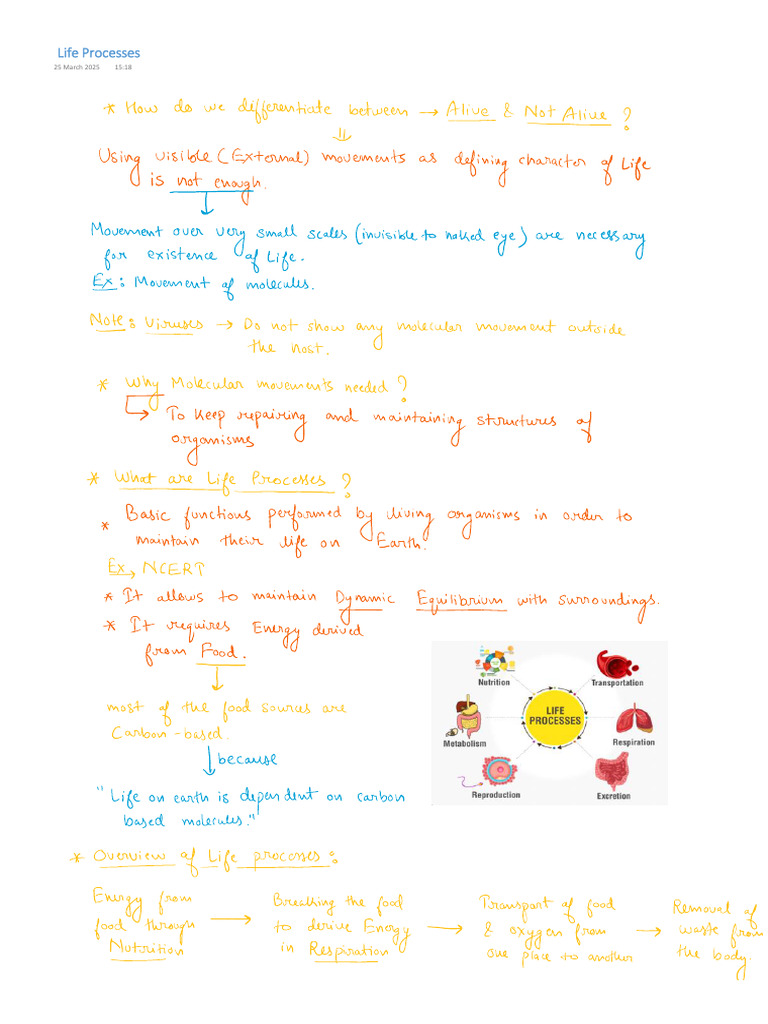 Life Processes - Class Notes | PDF