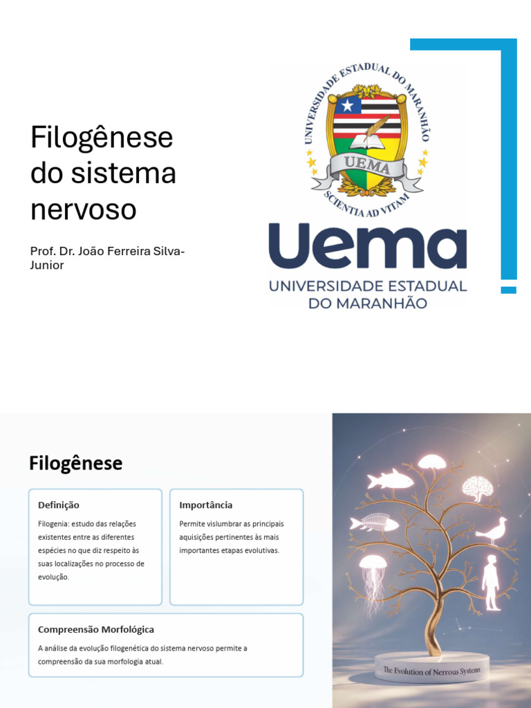 Evolução do Sistema Nervoso: Filogênese | PDF | Neurônio | Sistema nervoso