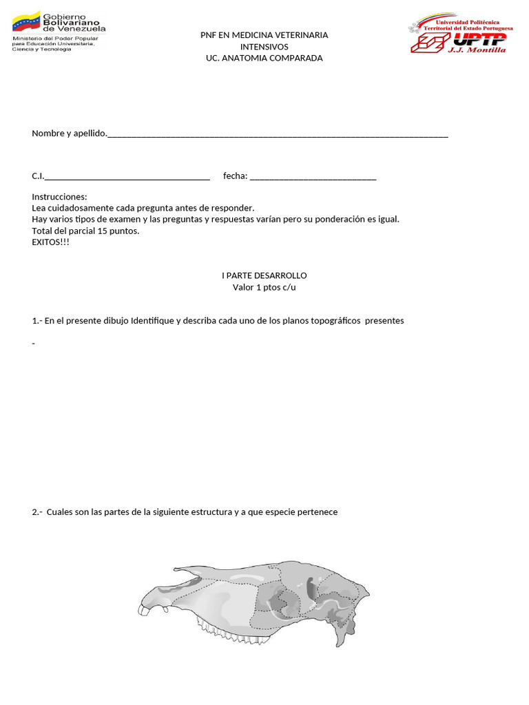 ANATOMIA COMPA - Intensivos | PDF | Articulación | Anatomía