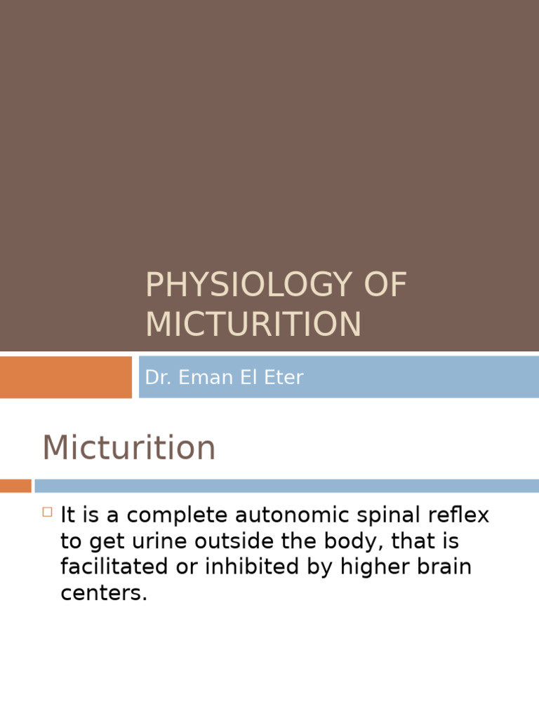 L4-Physiology of Micturition | PDF | Urination | Urology