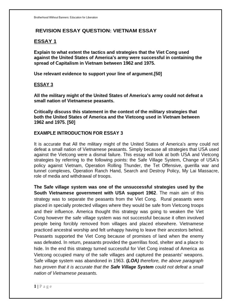 Vietnam Essay Practice | PDF | Viet Cong | Tet Offensive