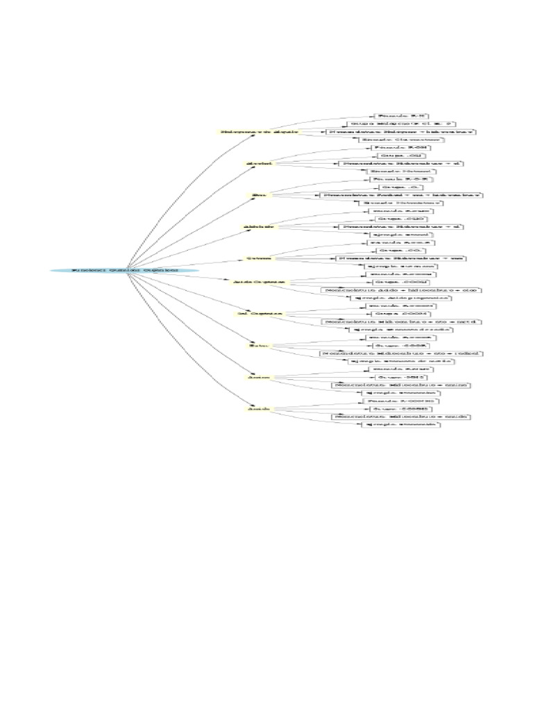 Mapa Conceptual Funciones Quimicas | PDF