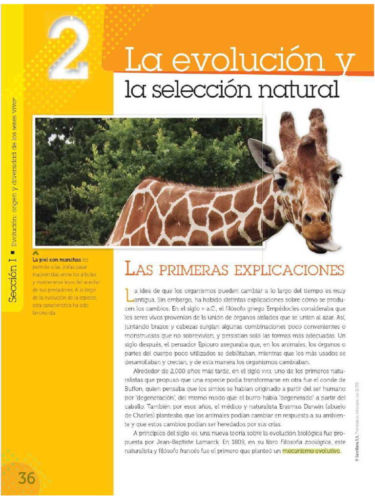 Cap 2 Santi | PDF