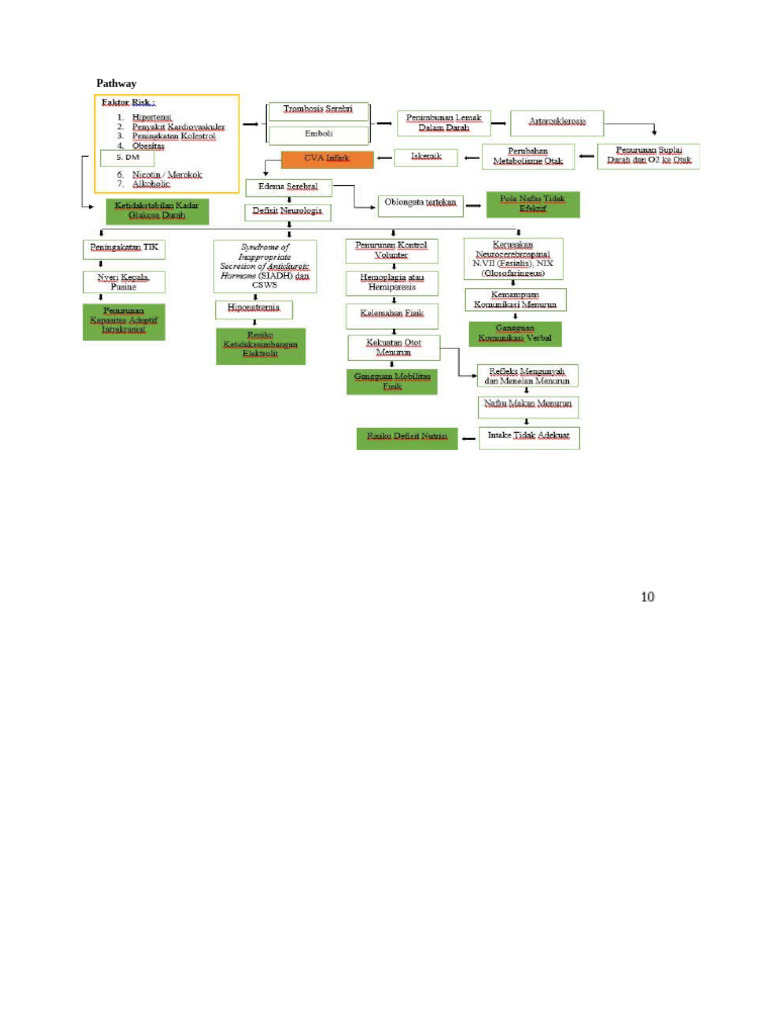 Pathway Cva Infark | PDF