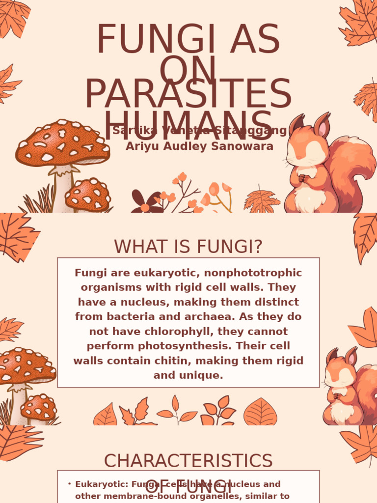 Fungi Presentation On Humans | PDF | Fungus | Microbiology