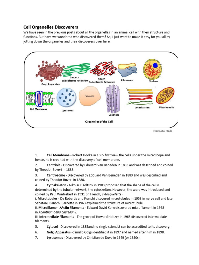 Cell Organelles Discoverers and Timeline | PDF | Cell (Biology ...