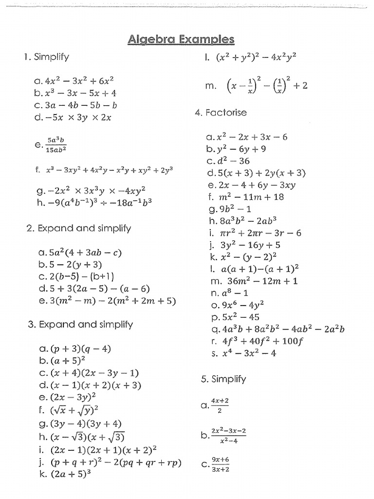 Worksheet Algebra and Indices | PDF