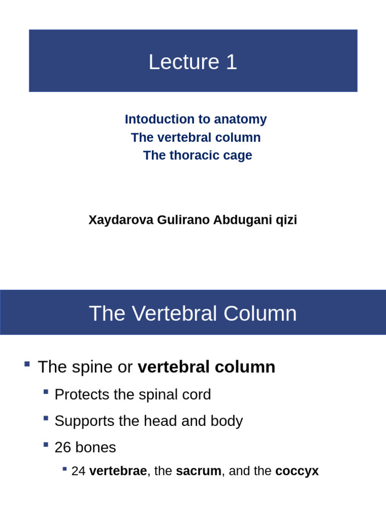 Topic 1. Vertebral - Bones | PDF | Vertebra | Thorax