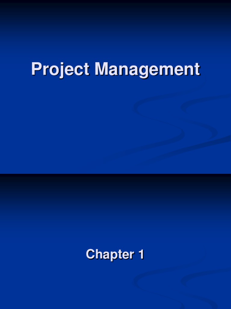 Project Management Fundamentals Explained | PDF | Net Present Value ...