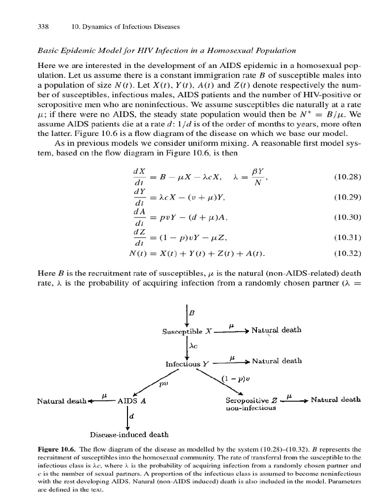 Basic Epidemic Model For HIV | PDF