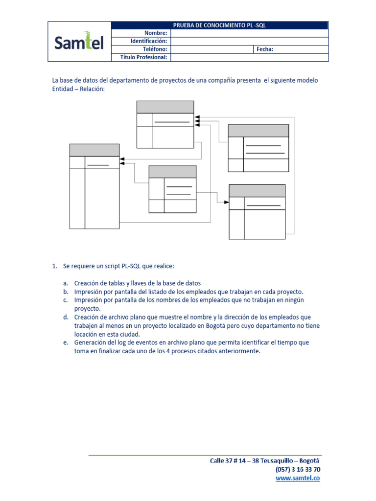 PL SQL | PDF | SQL | Datos de computadora