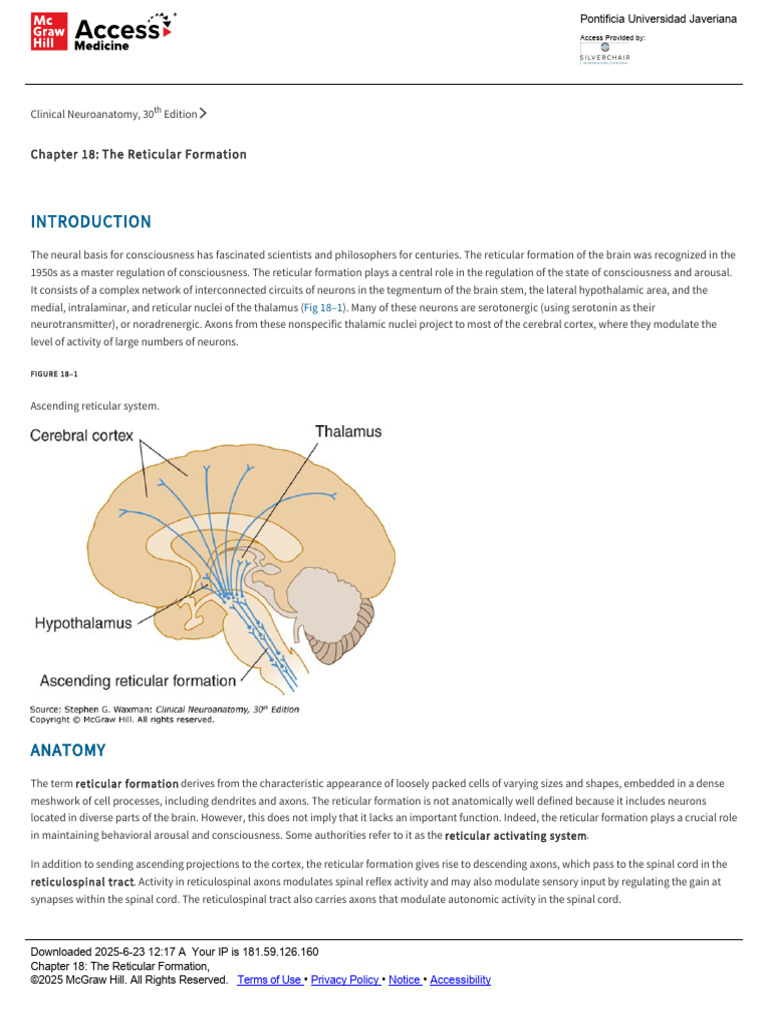 Chapter 18 - The Reticular Formation | PDF | Coma | Spinal Cord