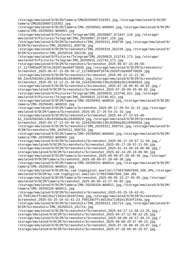 Image and Screenshot File List | PDF
