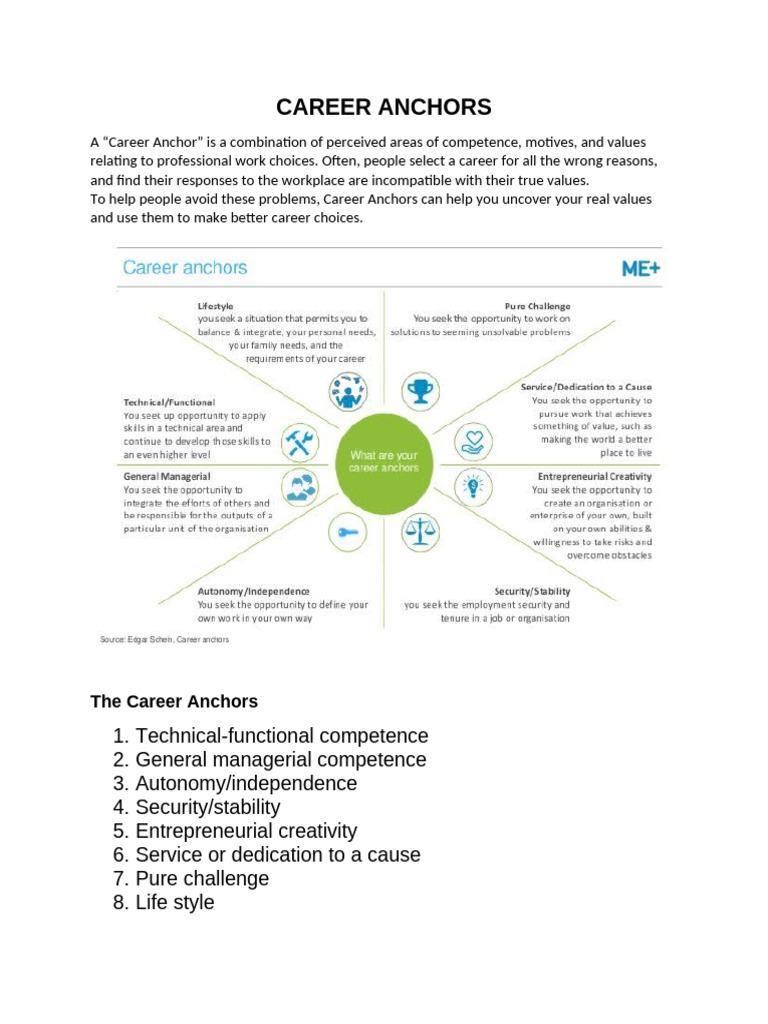 The Career Anchors Blank | PDF