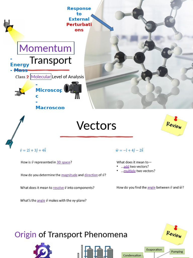 TP Class 02 Molecular Level of Analysis 1 | PDF | Transport Phenomena ...