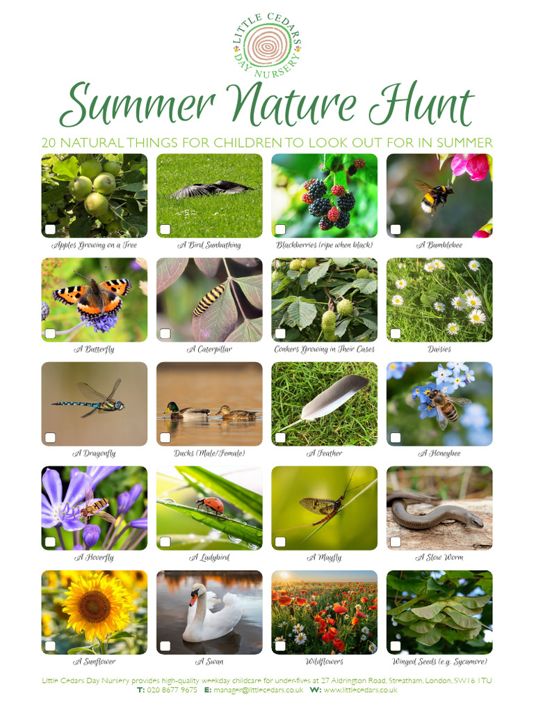 Summer Nature Hunt Poster | PDF