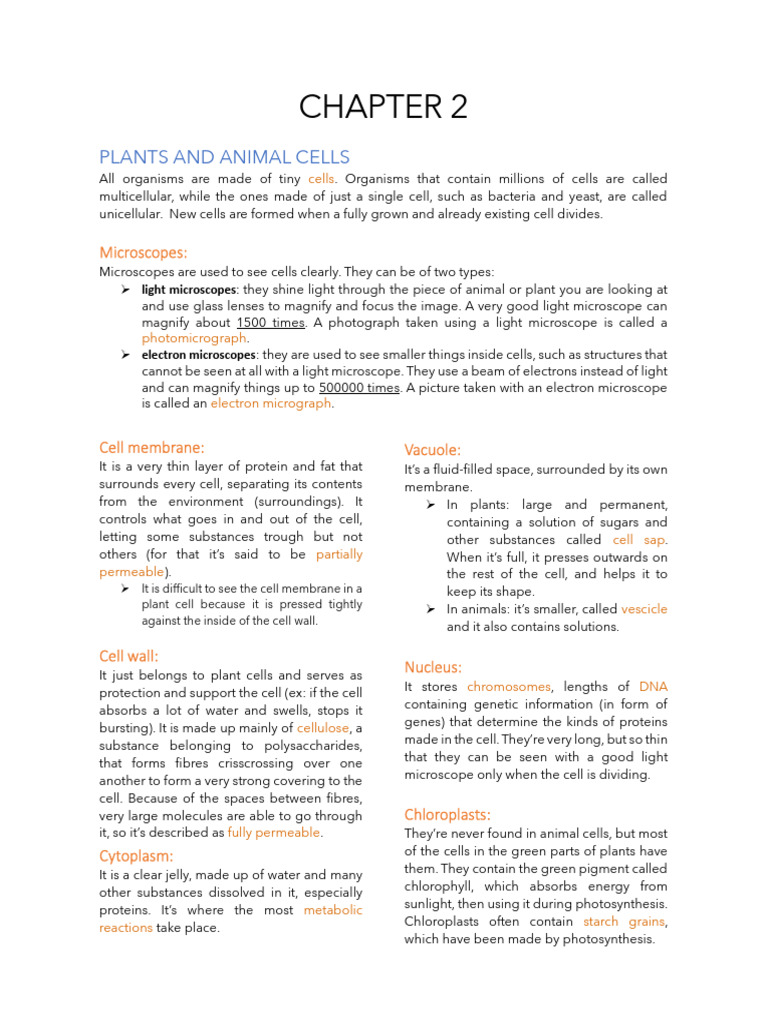 Understanding Plant and Animal Cells | PDF | Cell (Biology) | Chloroplast