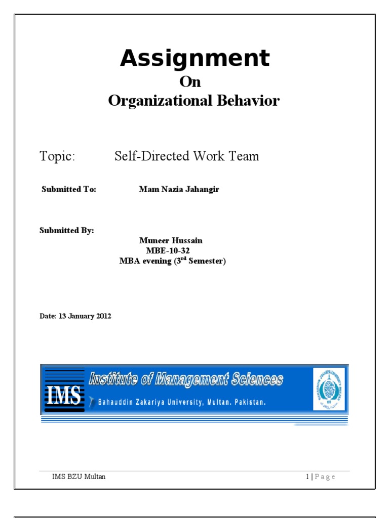 Self Directed Work Team Final | PDF | Employment | Motivation