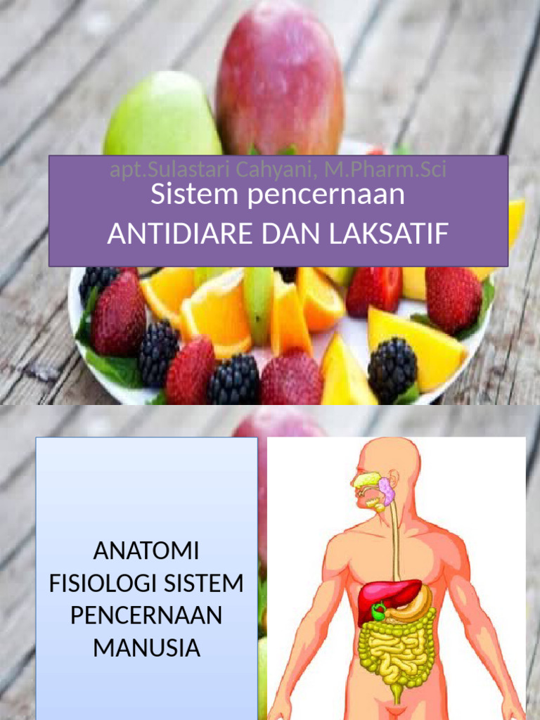 Sodium Picosulfate dalam Pencernaan | PDF