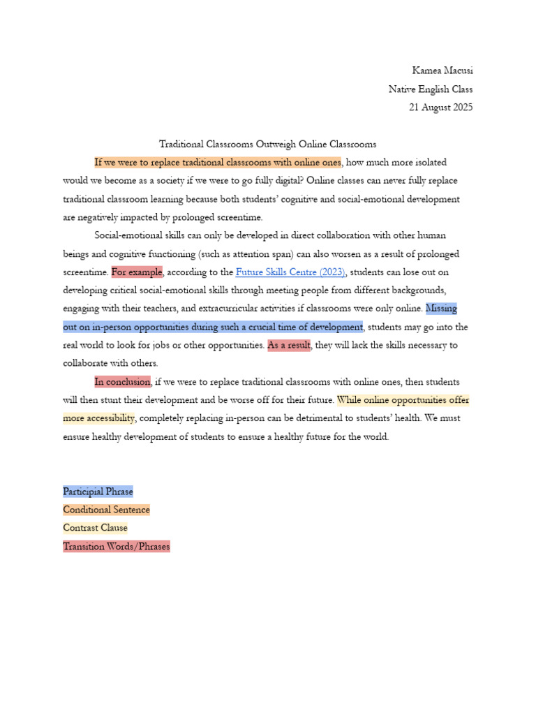 Argumentative Essay - Example | PDF