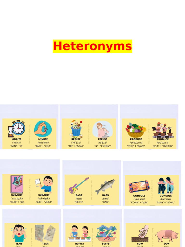 Heteronyms and Homophones | PDF