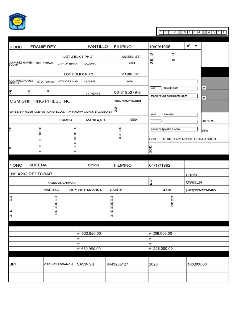 Housing Loan Application For Co-Borrowers Hla-Cb Hqp-hlf-069 v02 | PDF ...